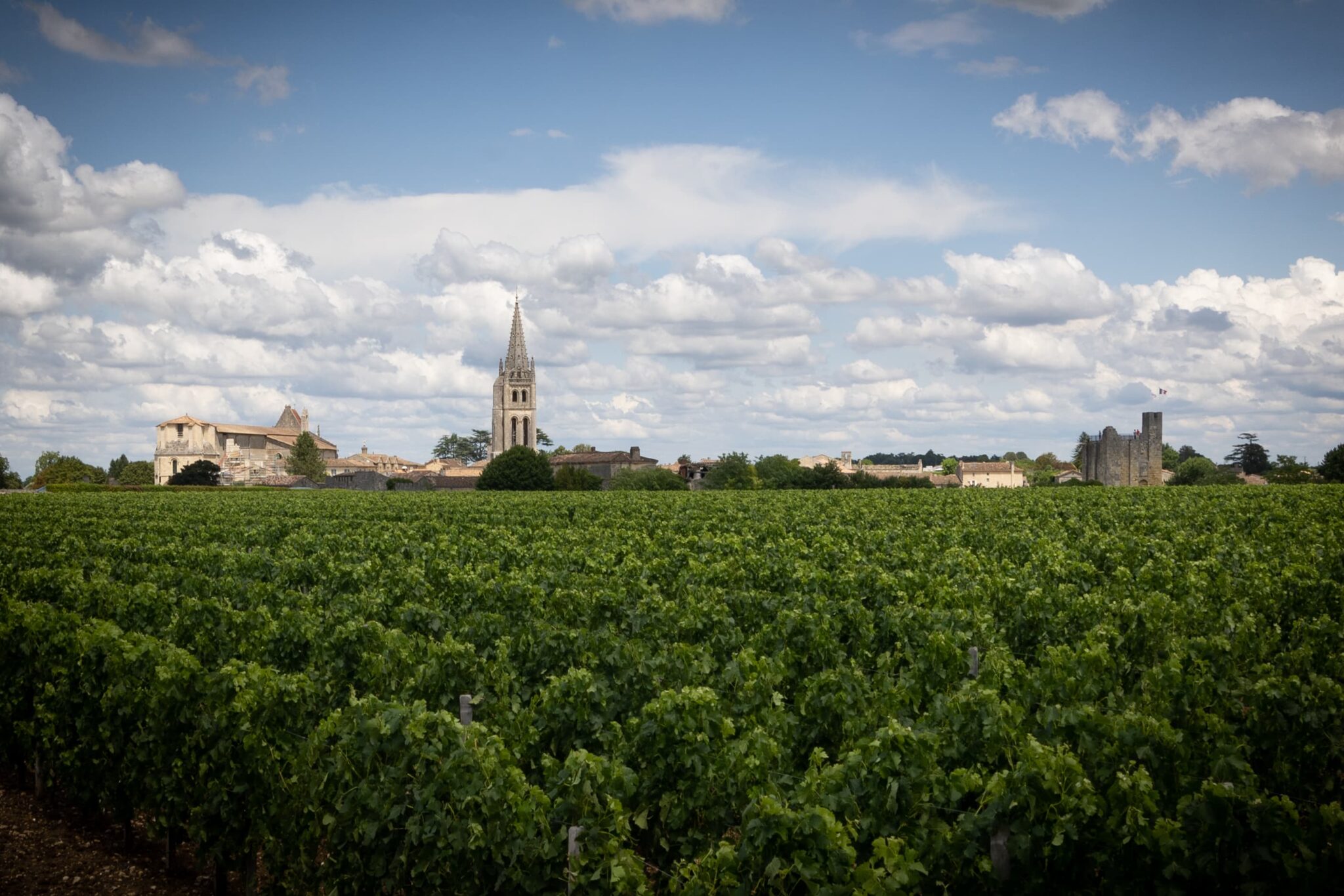 Accueil - Les Vins de Saint-Émilion