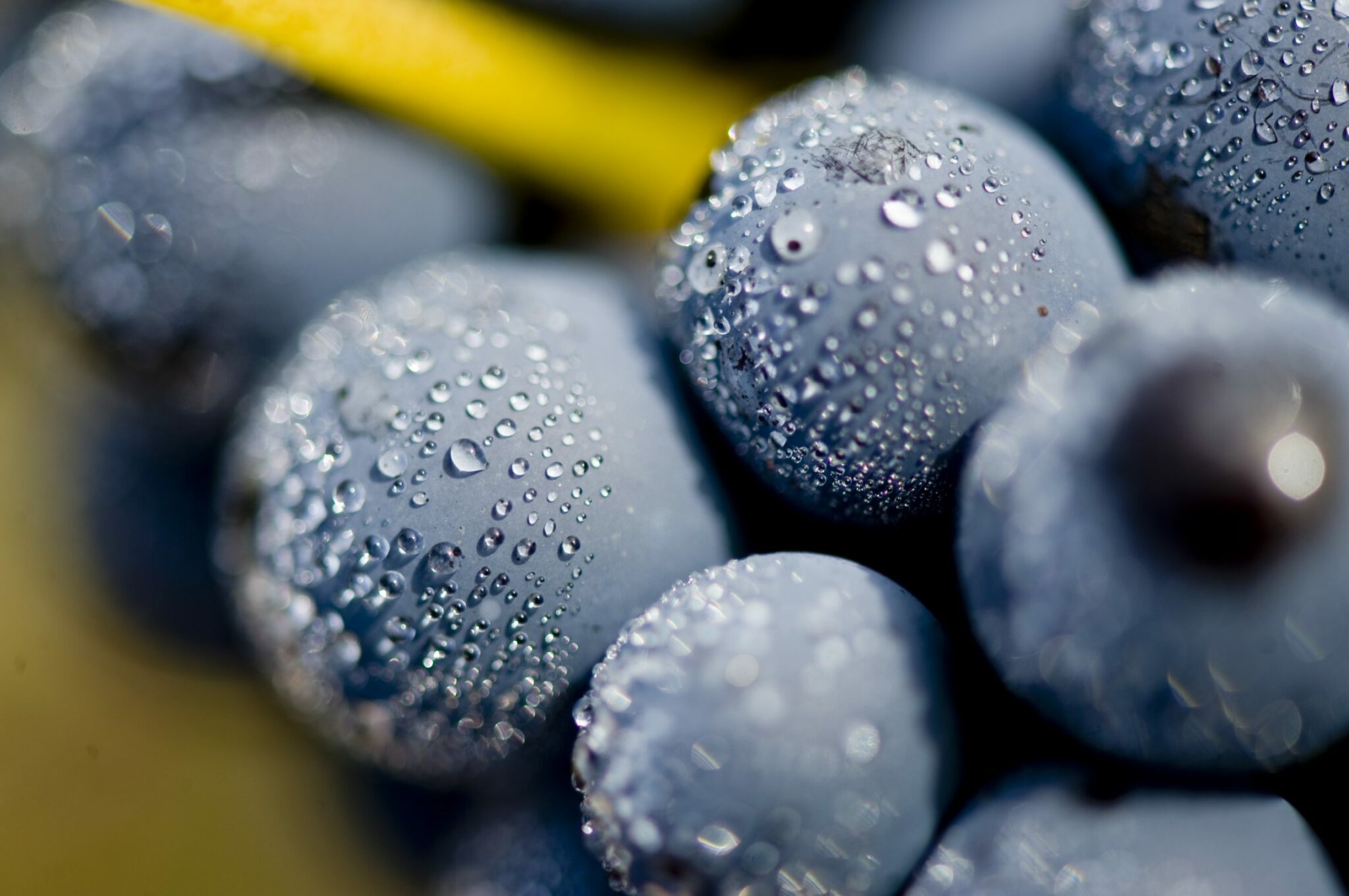 Saint-Émilion wine classification - Les Vins de Saint-Émilion